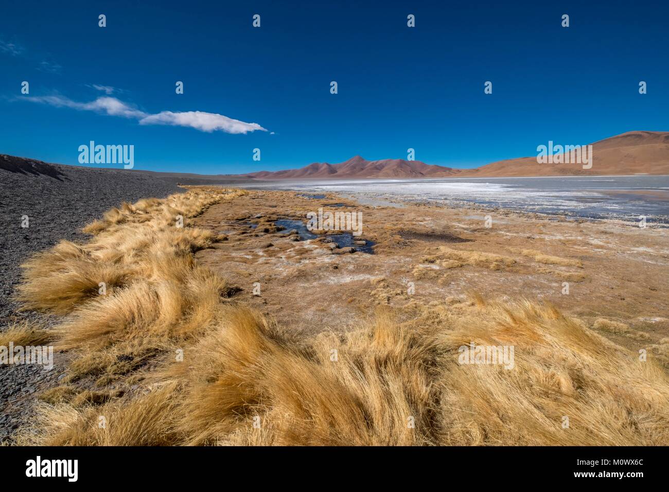 Argentine,Catamarca province,Puna desert,El Penon,laguna Diamante in ...