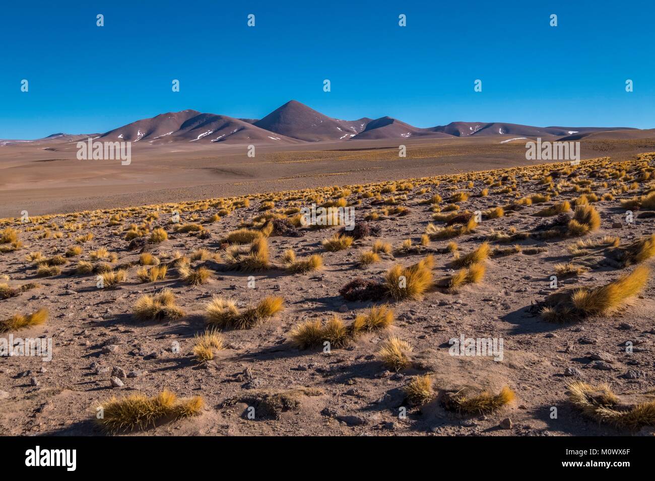 Argentine,Catamarca province,Puna desert,El Penon,foothills of the ...