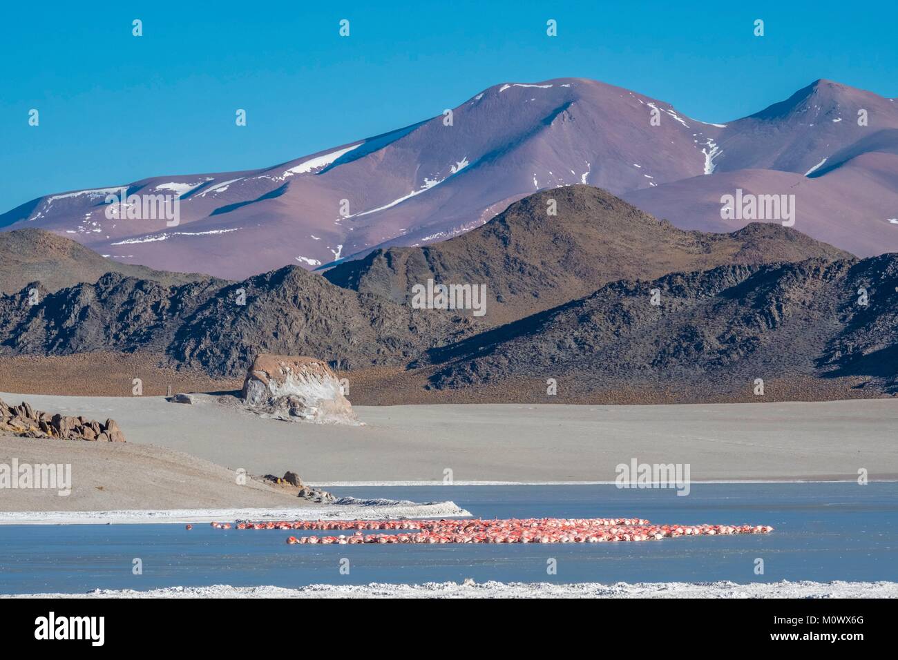 Argentine, Catamarca province, Puna desert, El Penon, Laguna Grande on ...