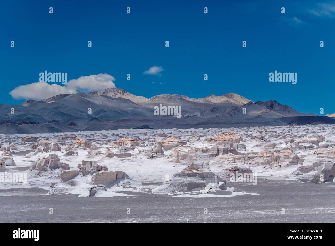 Argentina,Catamarca Province,Puna desert,El Penon,Campo de Piedra Pomez ...