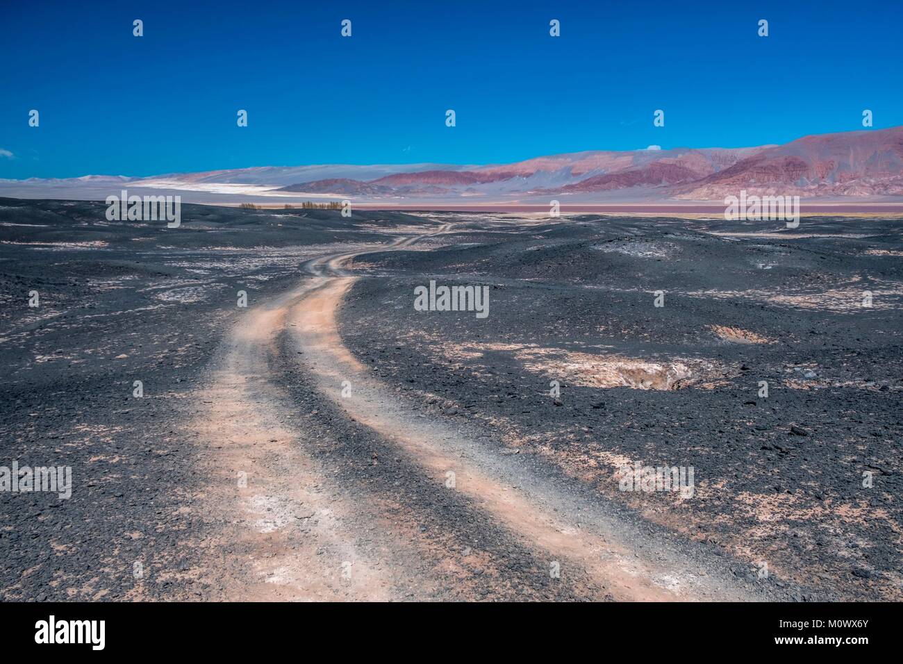 Argentine,Catamarca province,Puna desert,El Penon,Carachi Pampa laguna ...