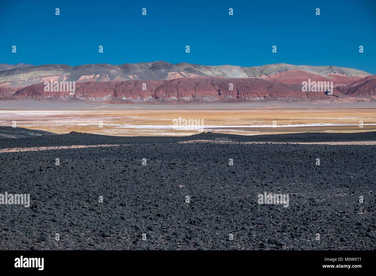 Argentine,Catamarca province,Puna desert,El Penon,Carachi Pampa laguna ...