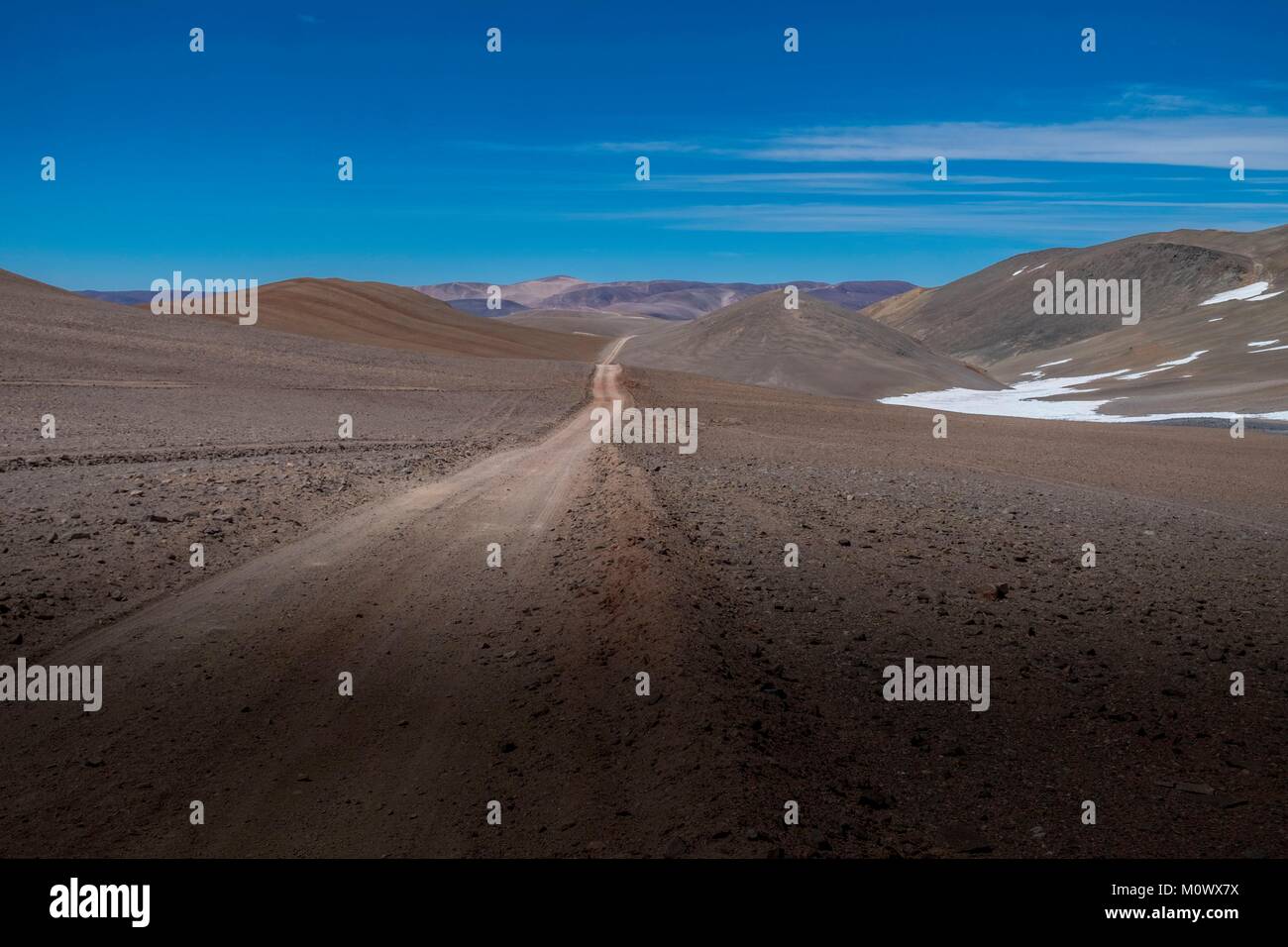 Argentine,Catamarca province,Puna desert,Chaschuil valley,route 60 ...