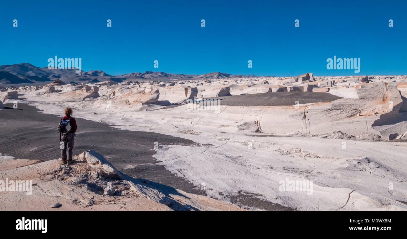 Argentina,Catamarca Province,Puna desert,El Penon,Campo de Piedra Pomez ...