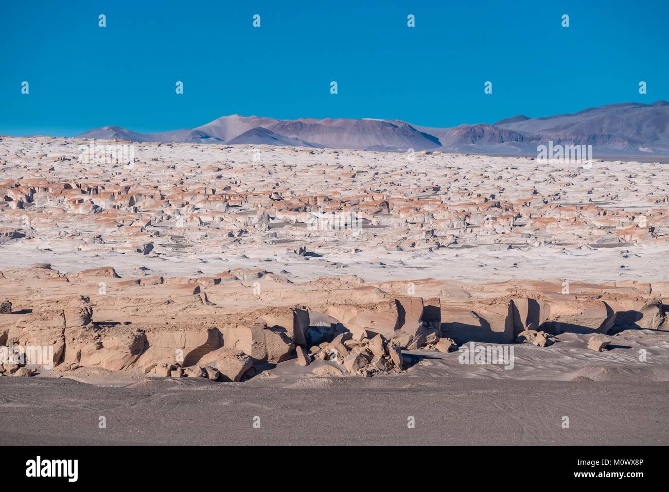 Argentina,Catamarca Province,Puna desert,El Penon,Campo de Piedra Pomez ...