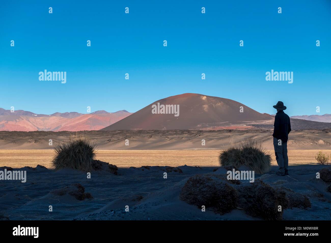 Argentine,Catamarca province,Puna desert,El Penon,Carachi Pampa volcano ...