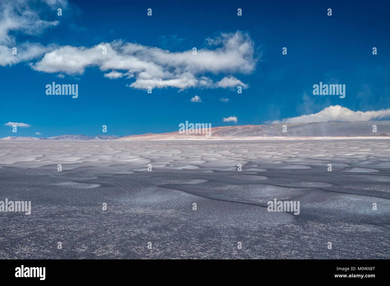 Argentine,Catamarca province,Puna desert,El Penon,sand dunes,campo de ...
