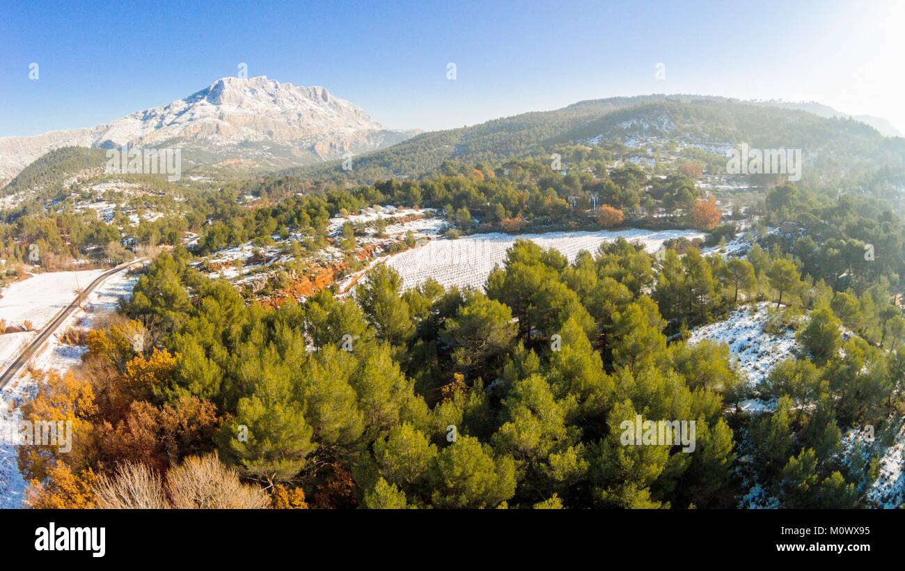 France,Bouches du Rhone,Aix district,Sainte Victoire mountain under ...