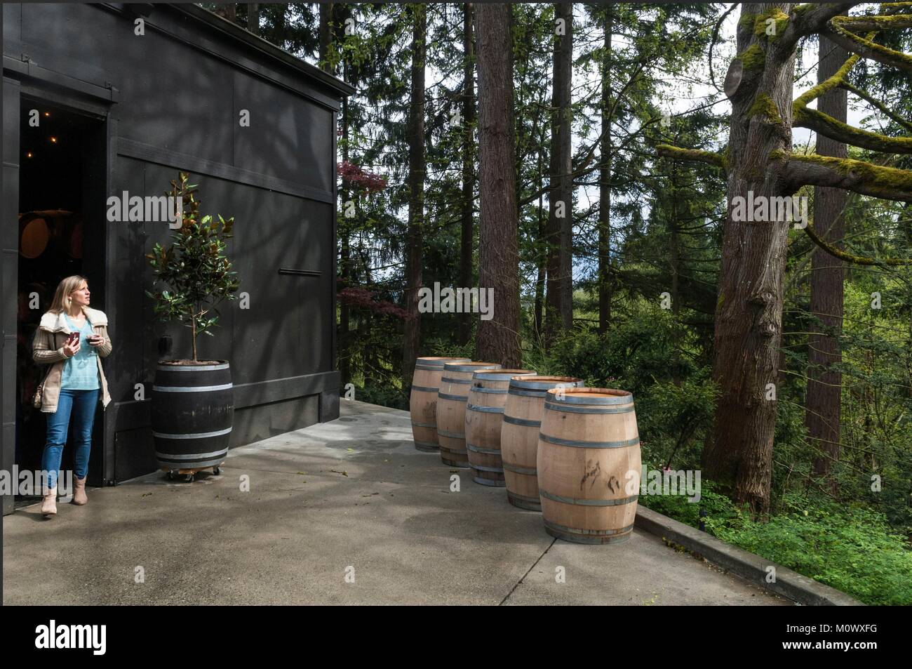 United States,Washington state,Woodinville town,JM Cellars winery ...