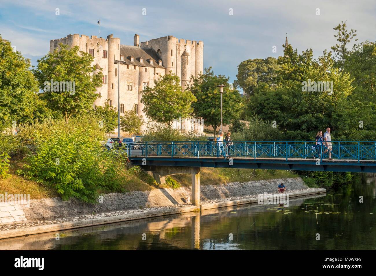 France,Deux Sevres,Marais Poitevin interregional park labelled Grand ...