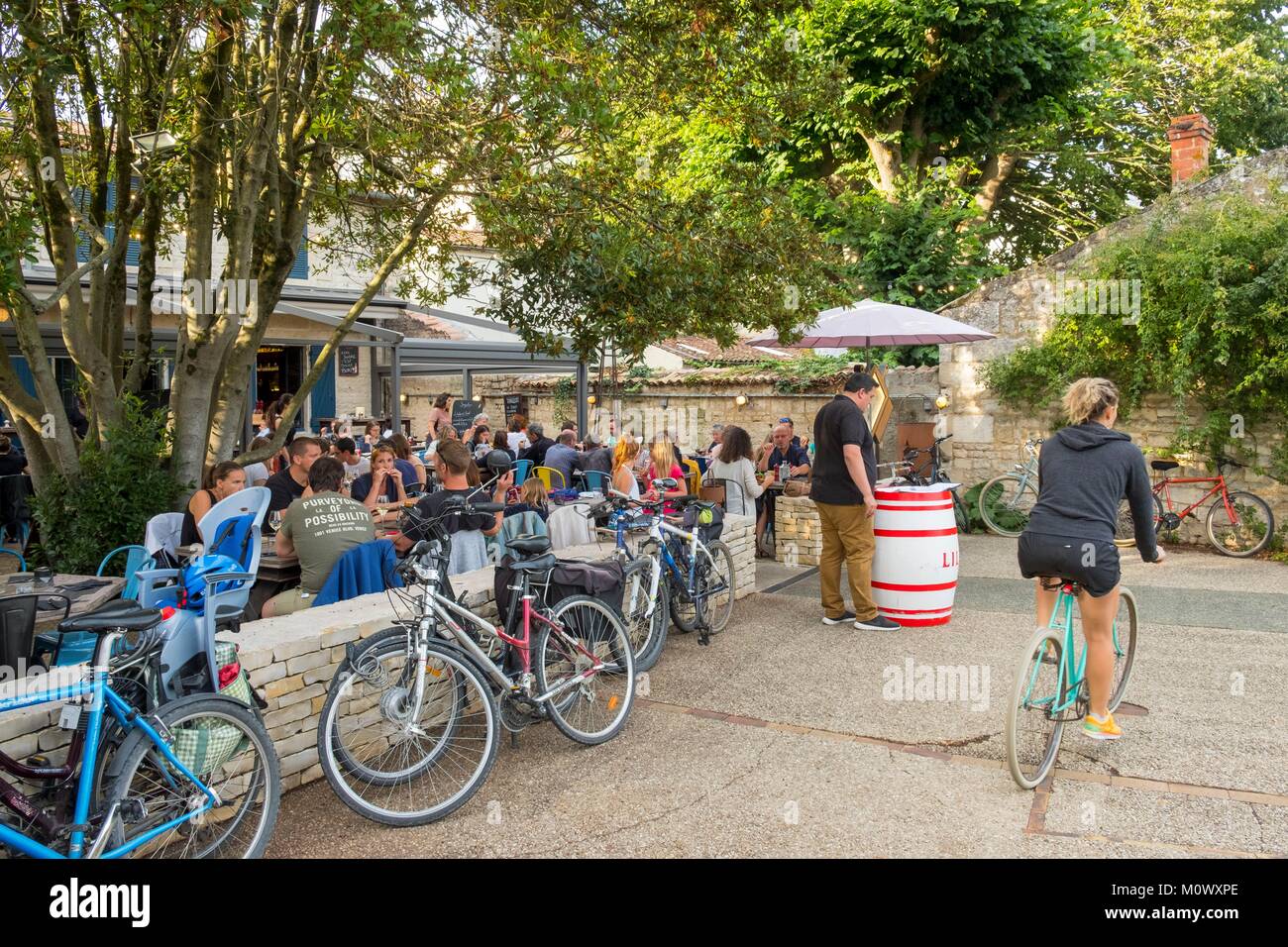 France,Deux Sevres,Marais Poitevin interregional park labelled Grand ...
