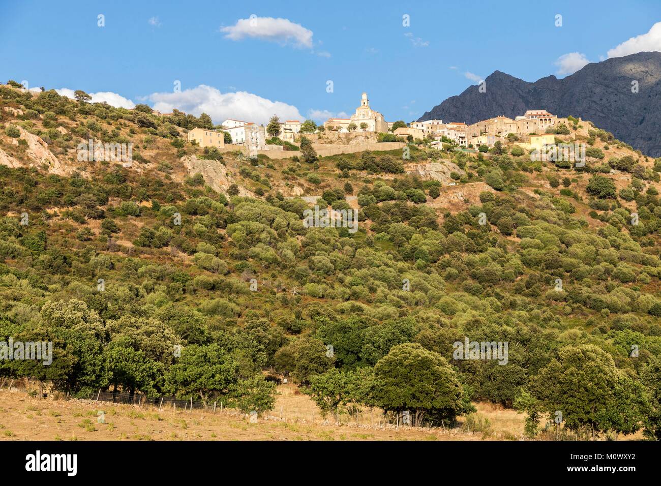 France,Haute-Corse,Balagne,Montegrosso,village of Montemaggiore,in ...