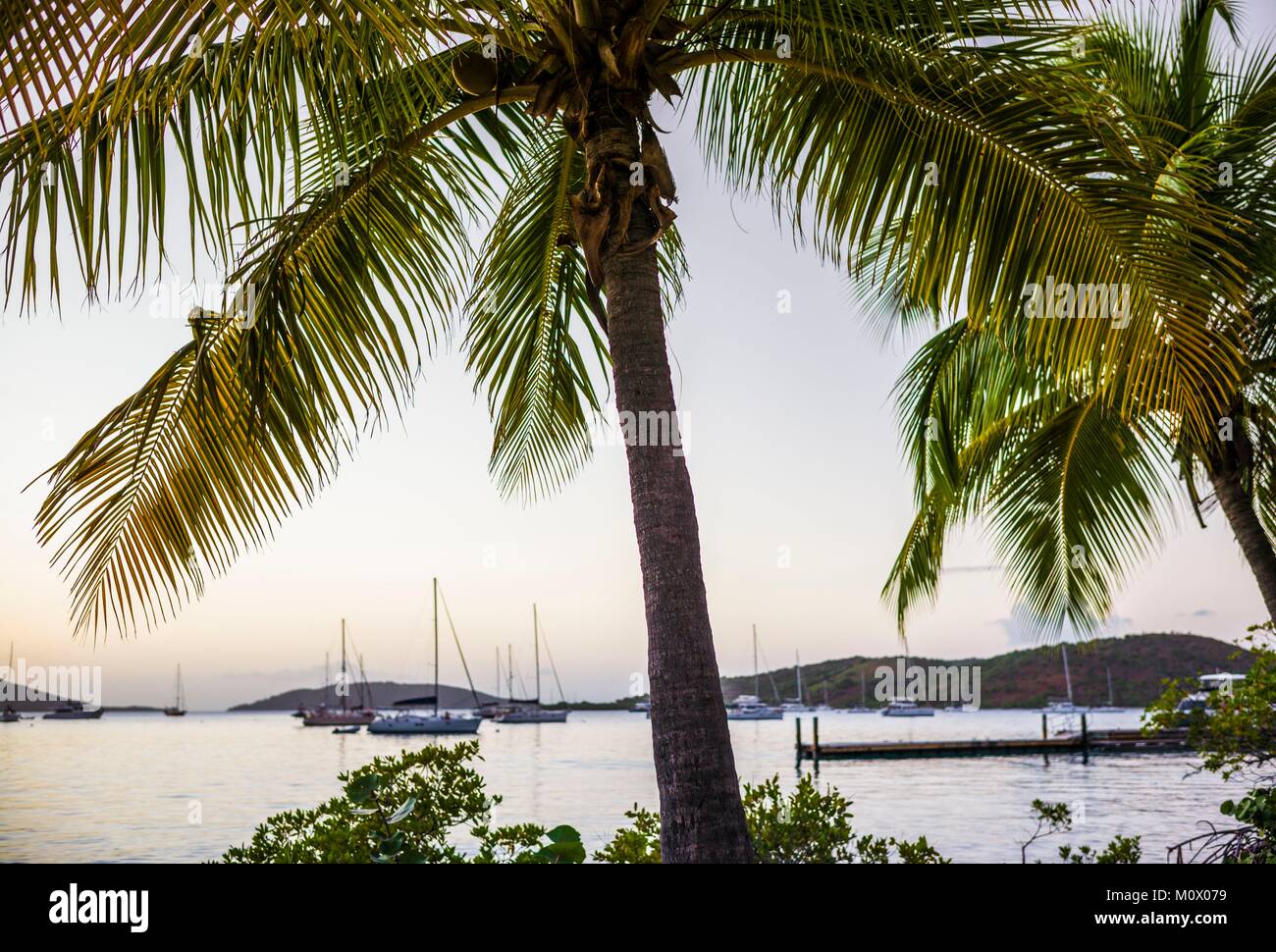 British Virgin Islands,Virgin Gorda,The Bitter End,palm trees,sunset ...