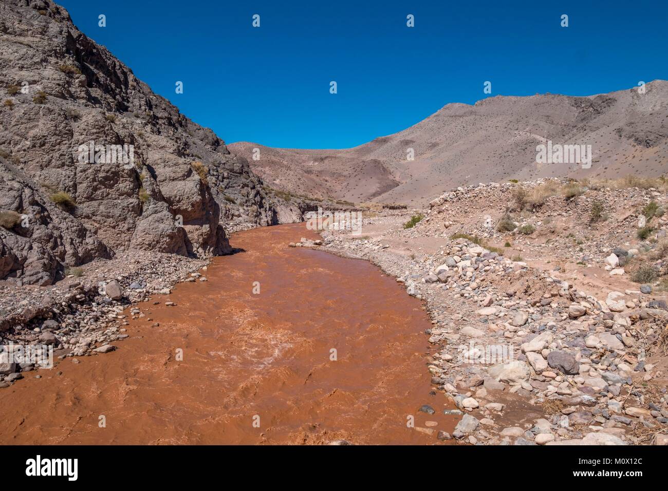 Los patos chile hi-res stock photography and images - Alamy