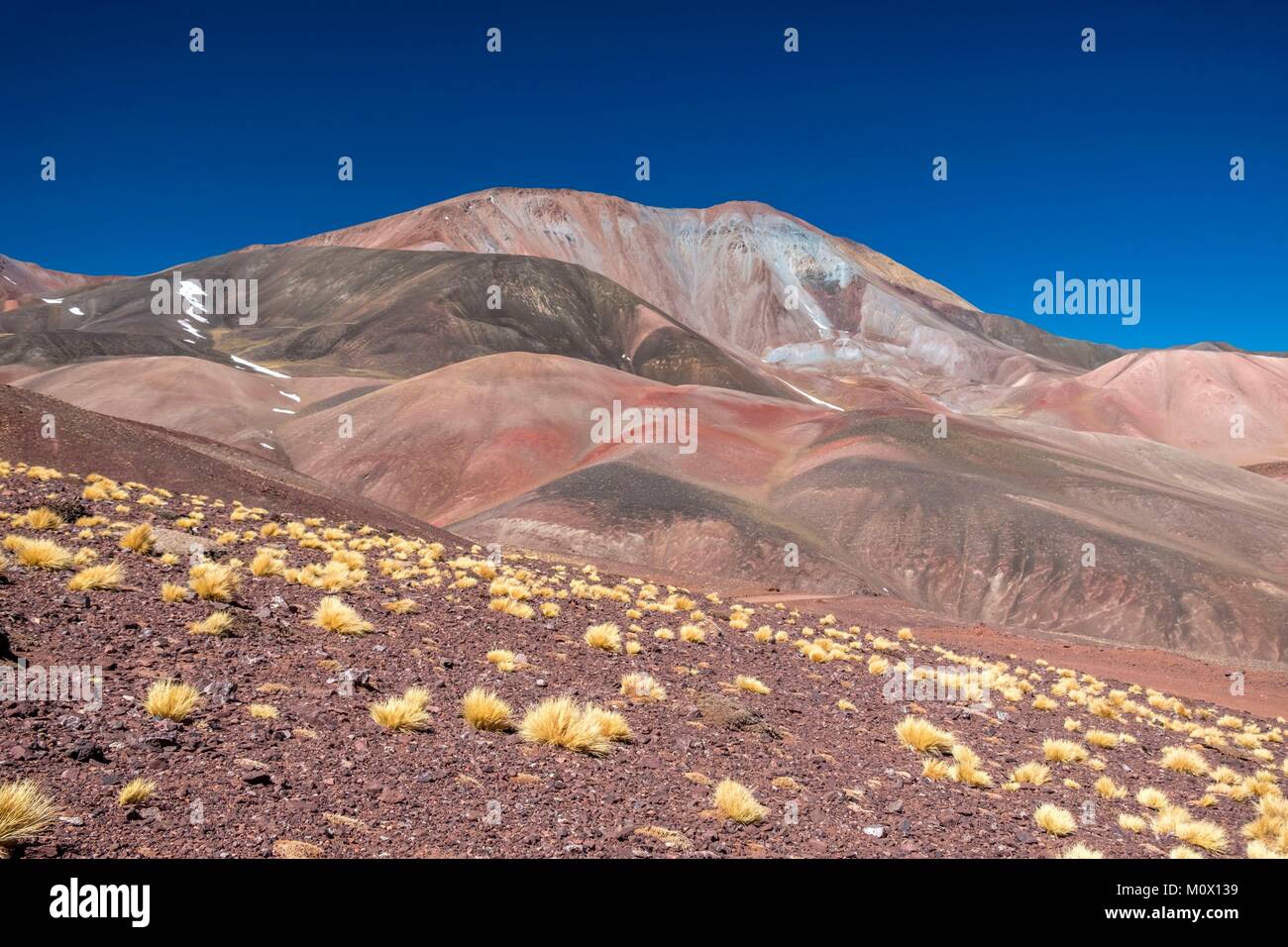 Argentina,La Rioja province,Laguna Brava Provincial Reserve Stock Photo ...