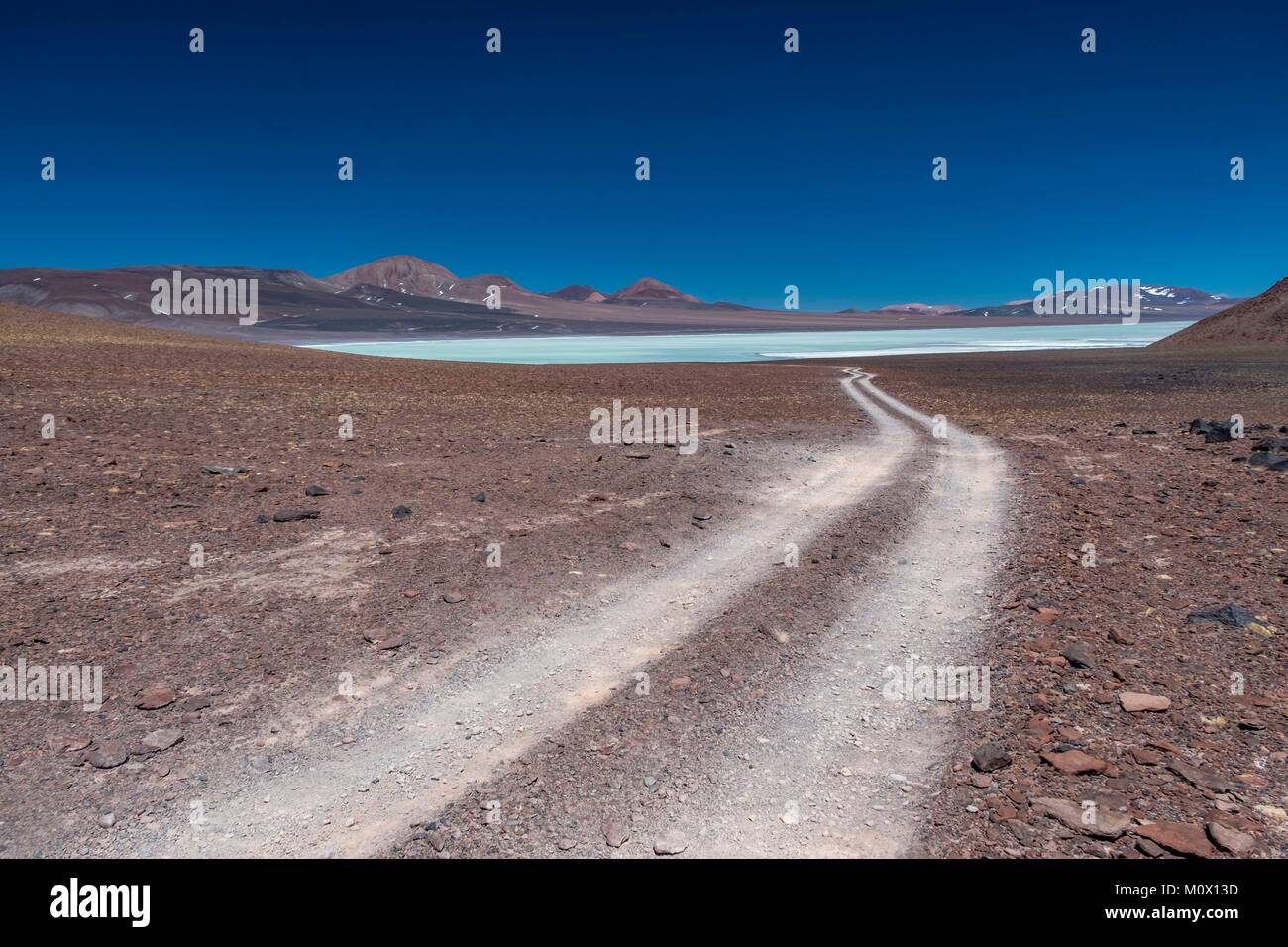 Laguna brava provincial reserve hi-res stock photography and images - Alamy