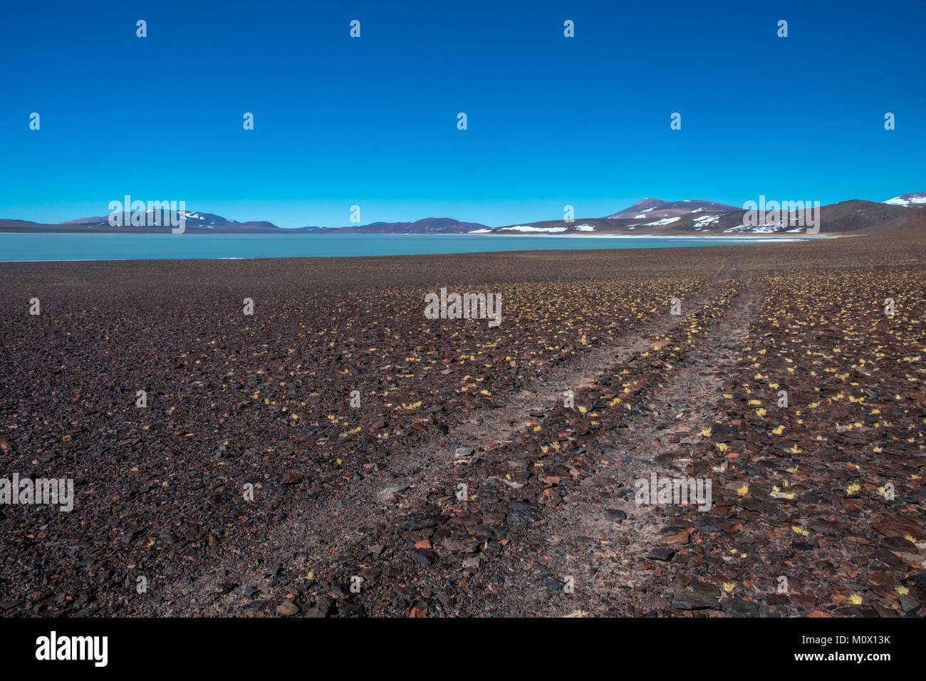 Argentina,La Rioja province,Laguna Brava Provincial Reserve Stock Photo ...