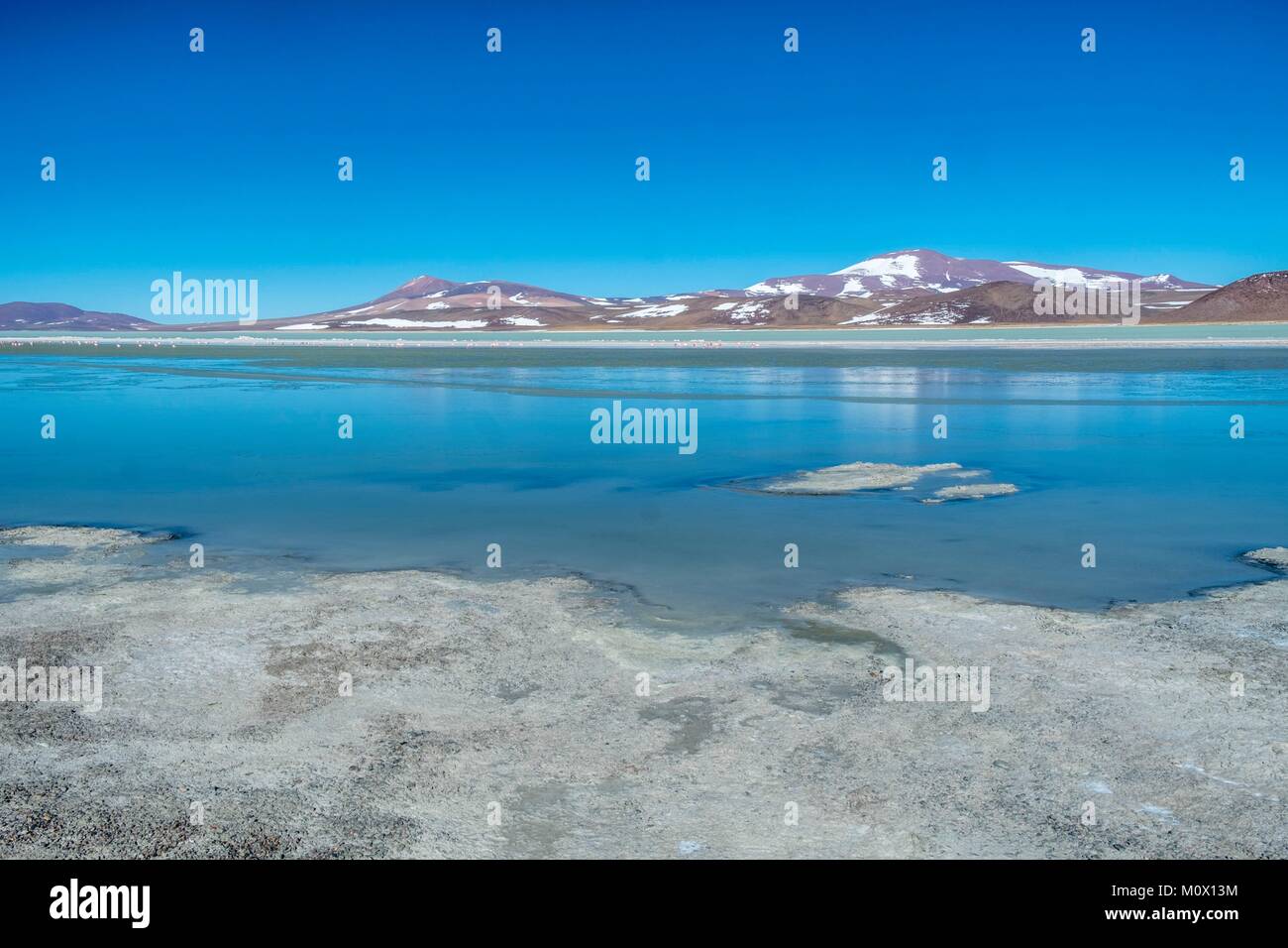 Argentina,La Rioja province,Laguna Brava Provincial Reserve Stock Photo ...