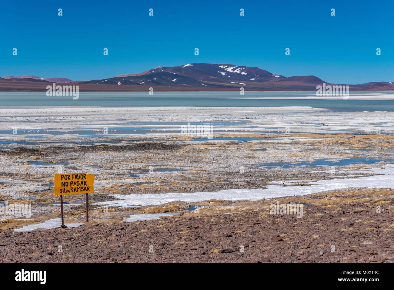 Argentina,La Rioja province,Laguna Brava Provincial Reserve Stock Photo ...