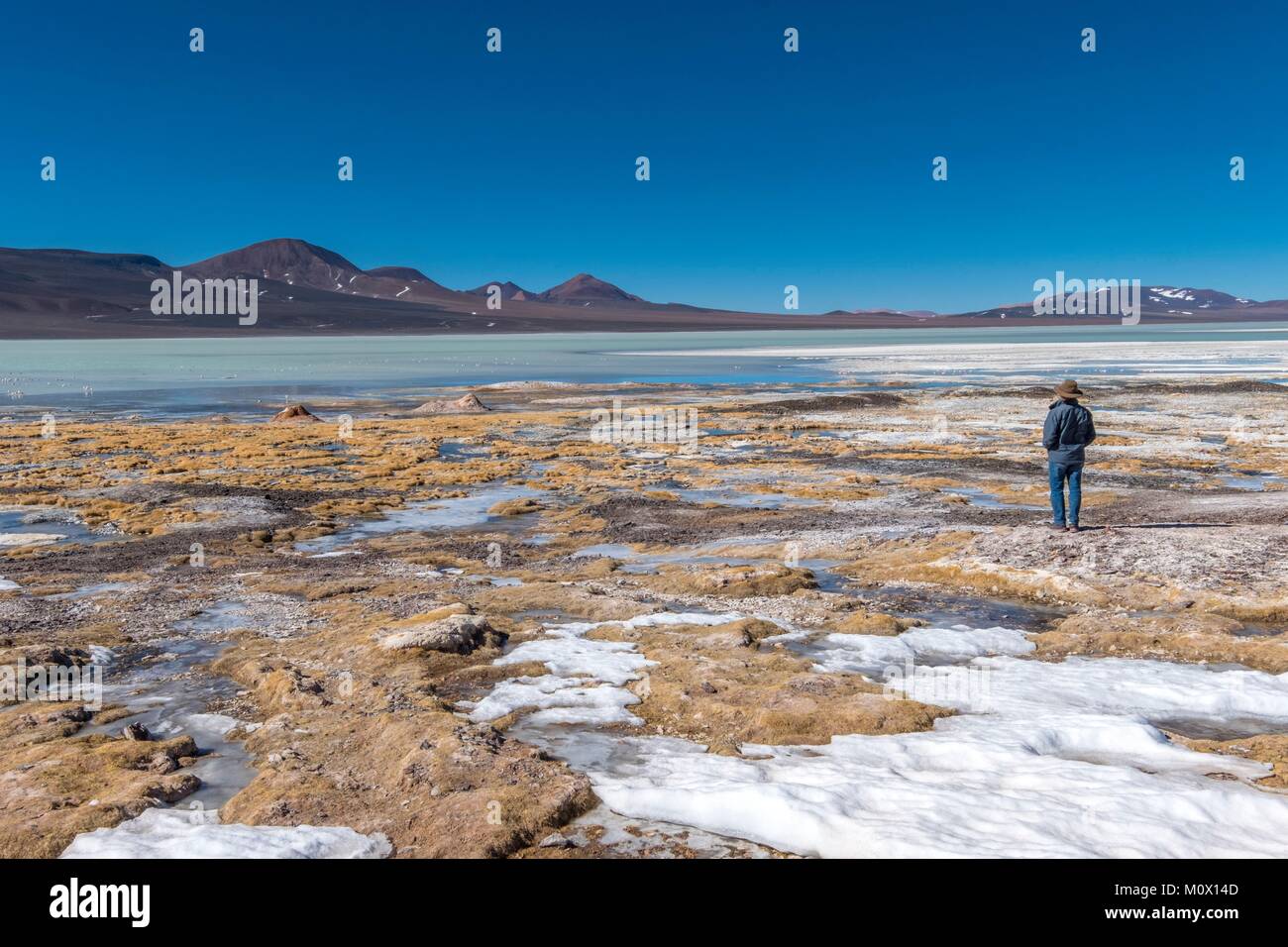 Argentina,La Rioja province,Laguna Brava Provincial Reserve Stock Photo ...