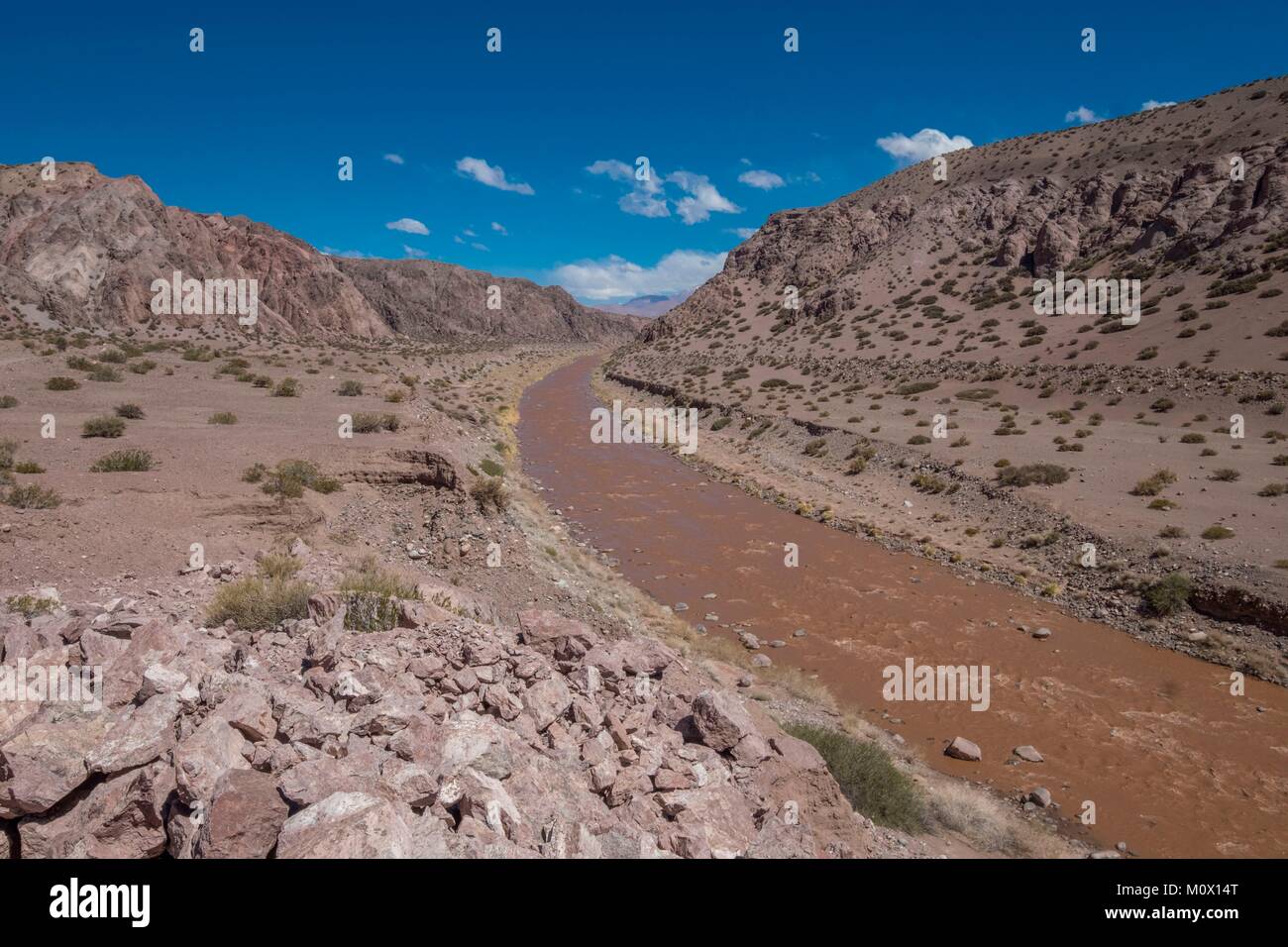 Los patos chile hi-res stock photography and images - Alamy