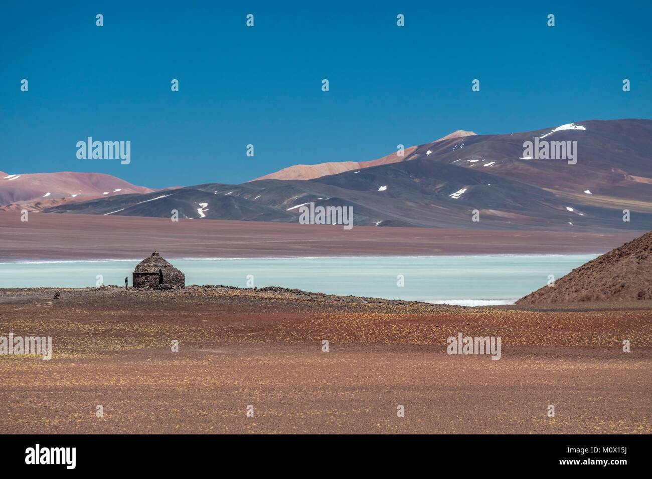 Argentina,La Rioja province,Laguna Brava Provincial Reserve Stock Photo ...