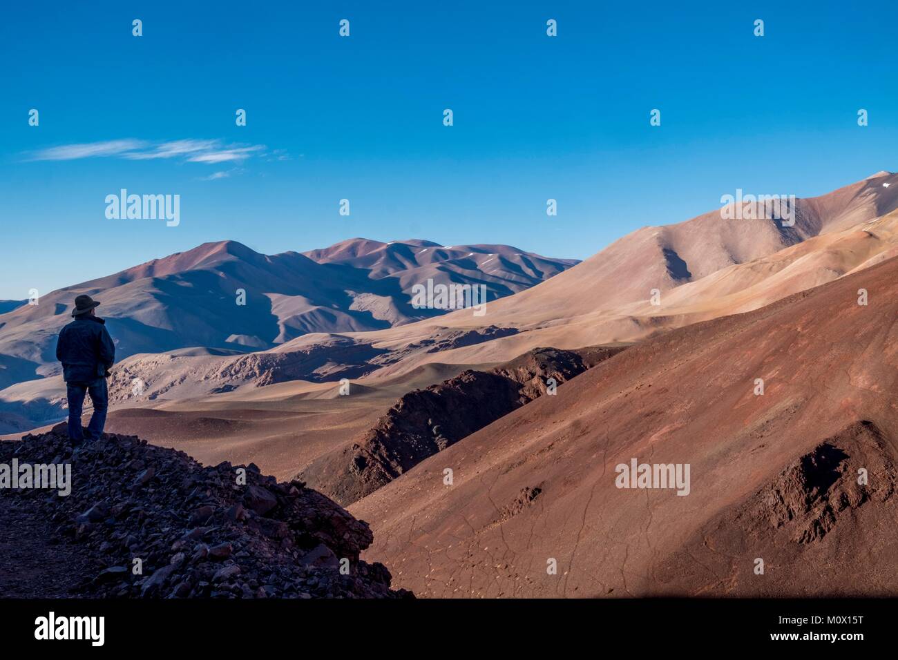 Argentina,La Rioja province,Laguna Brava Provincial Reserve Stock Photo ...