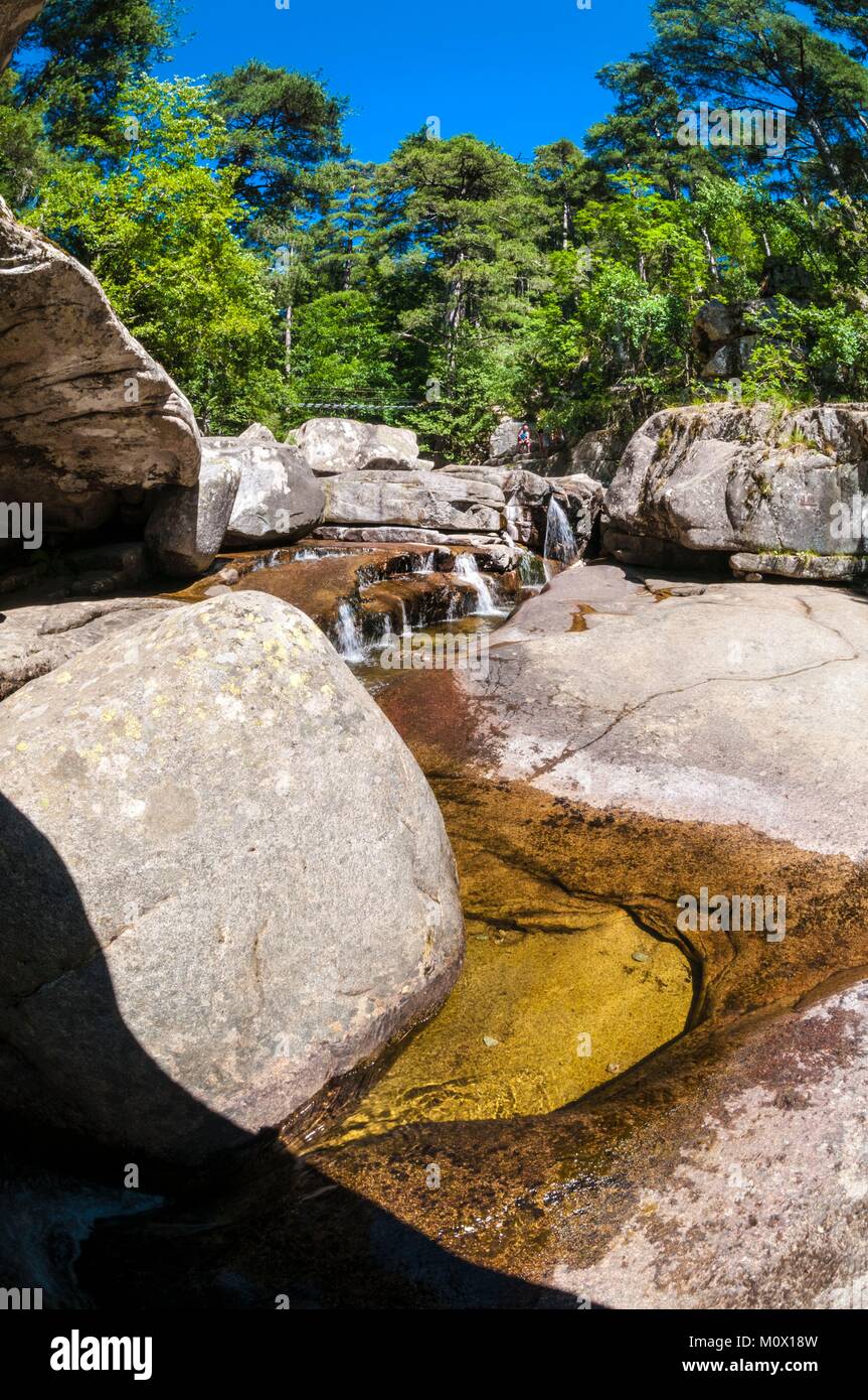 France,Corse du Sud,natural pools in the Aïtone forest Stock Photo - Alamy