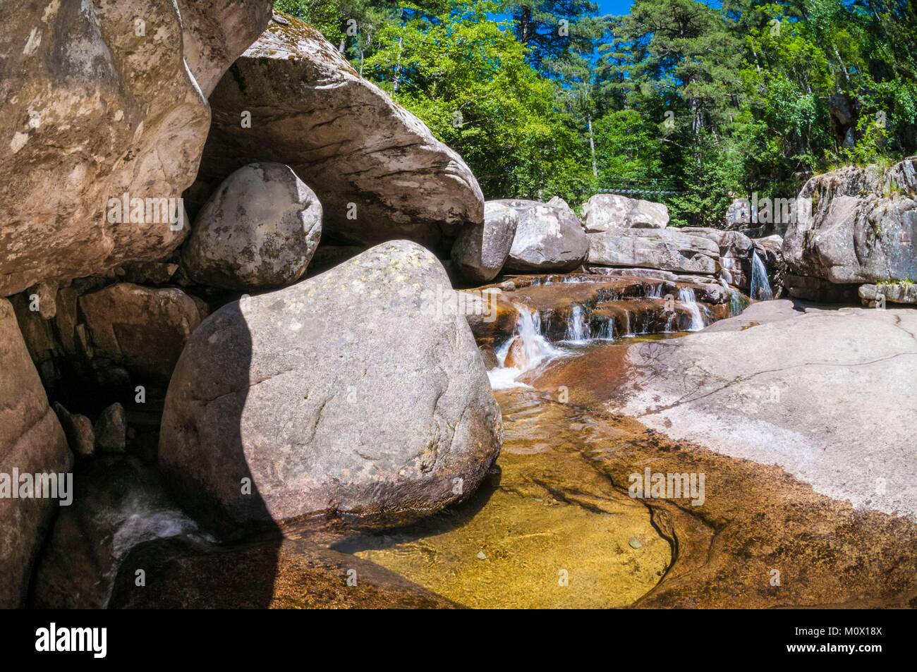 France,Corse du Sud,natural pools in the Aïtone forest Stock Photo - Alamy