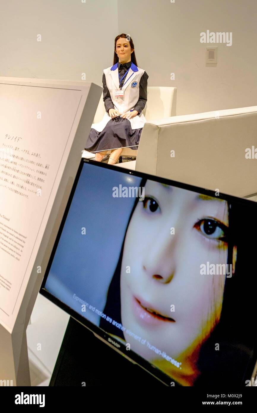 Japan,Honshu island,Kanto region,Tokyo,Odaiba area,National Museum of ...