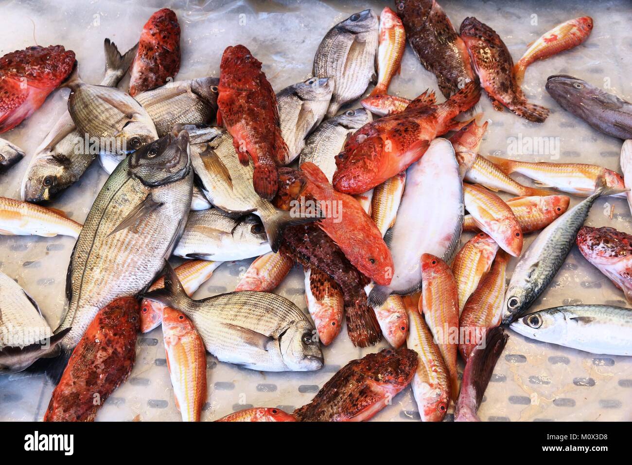 Italy - fish market in Gallipoli. Sea bream, scorpion fish, red mullet ...
