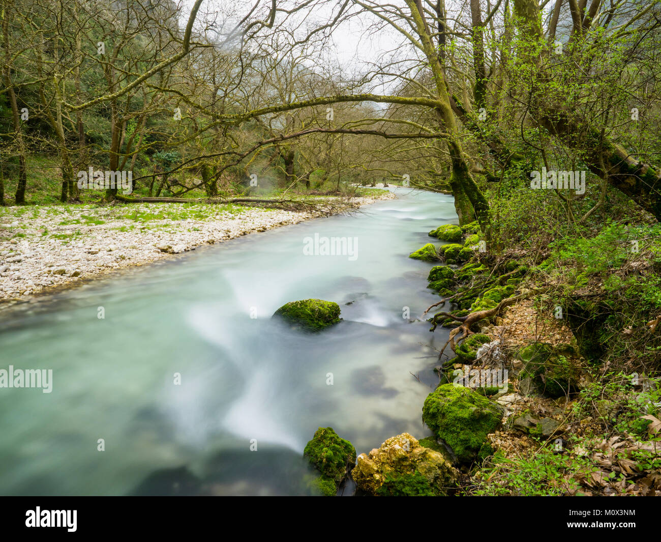 river flow among the trees in a beautiful landscape in north Greece ...