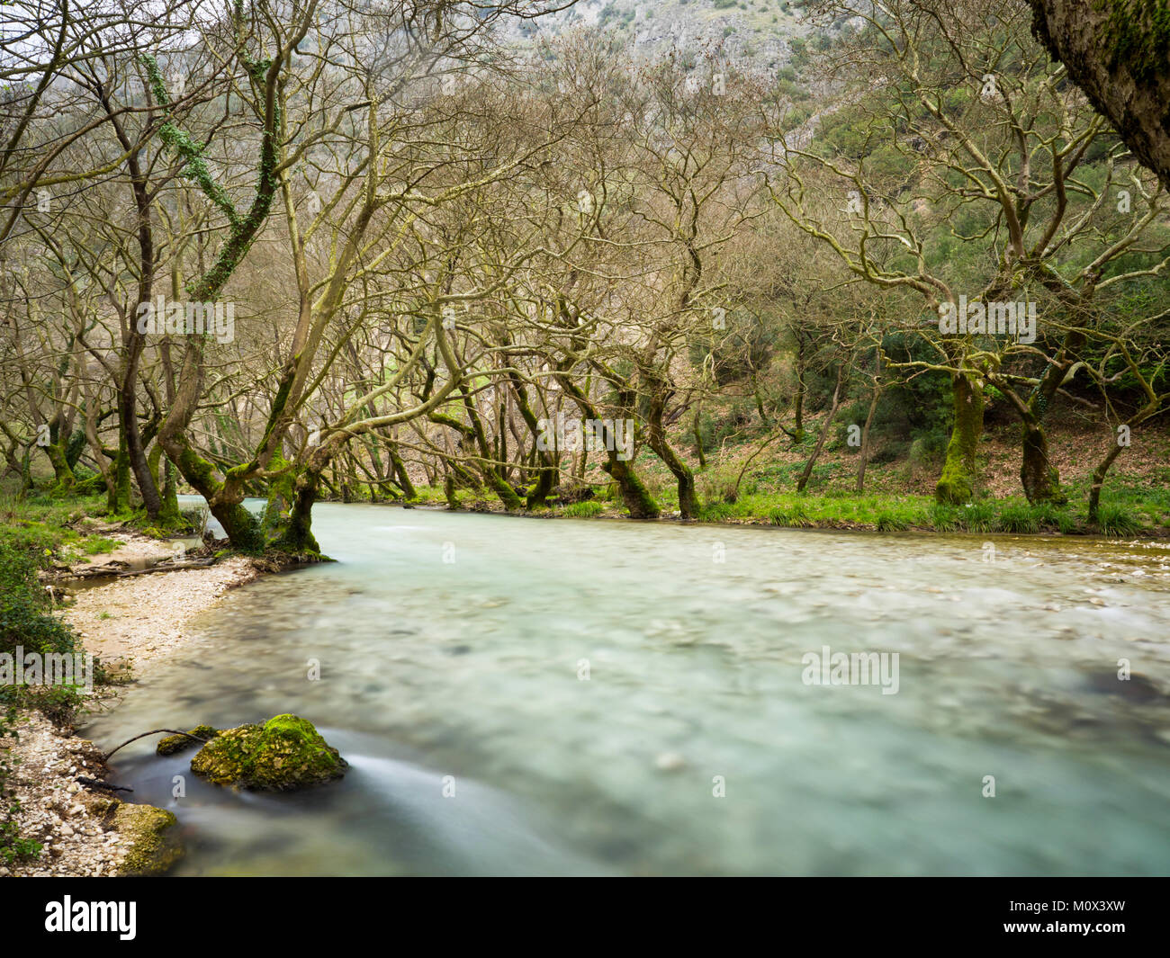 river flow among the trees in a beautiful landscape in north Greece ...