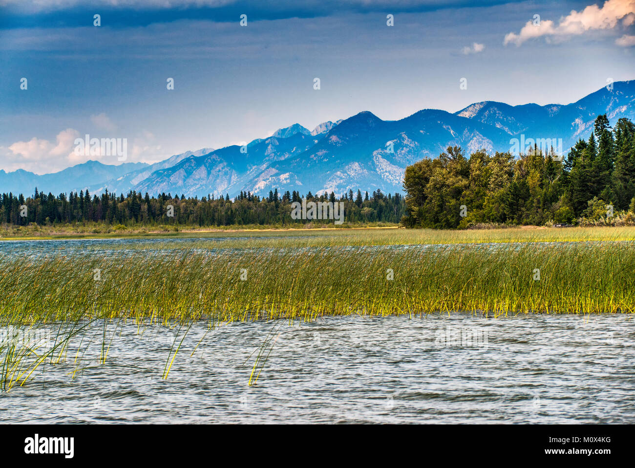 Lake Windermere, Columbia Valley, Purcell Mountains in distance, near ...