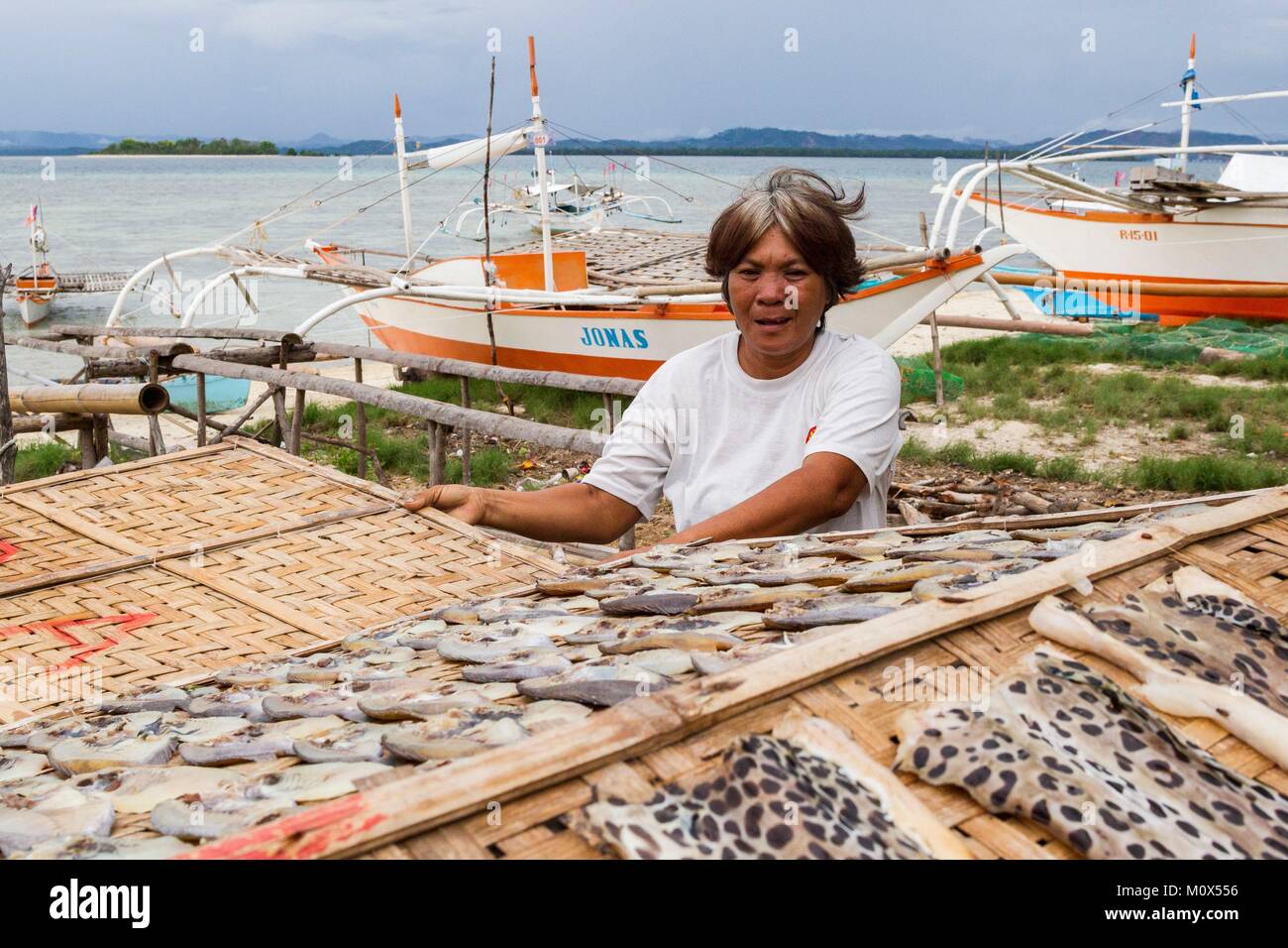 Philippines,Palawan,Roxas,Green Island,woman removing drying fishes ...