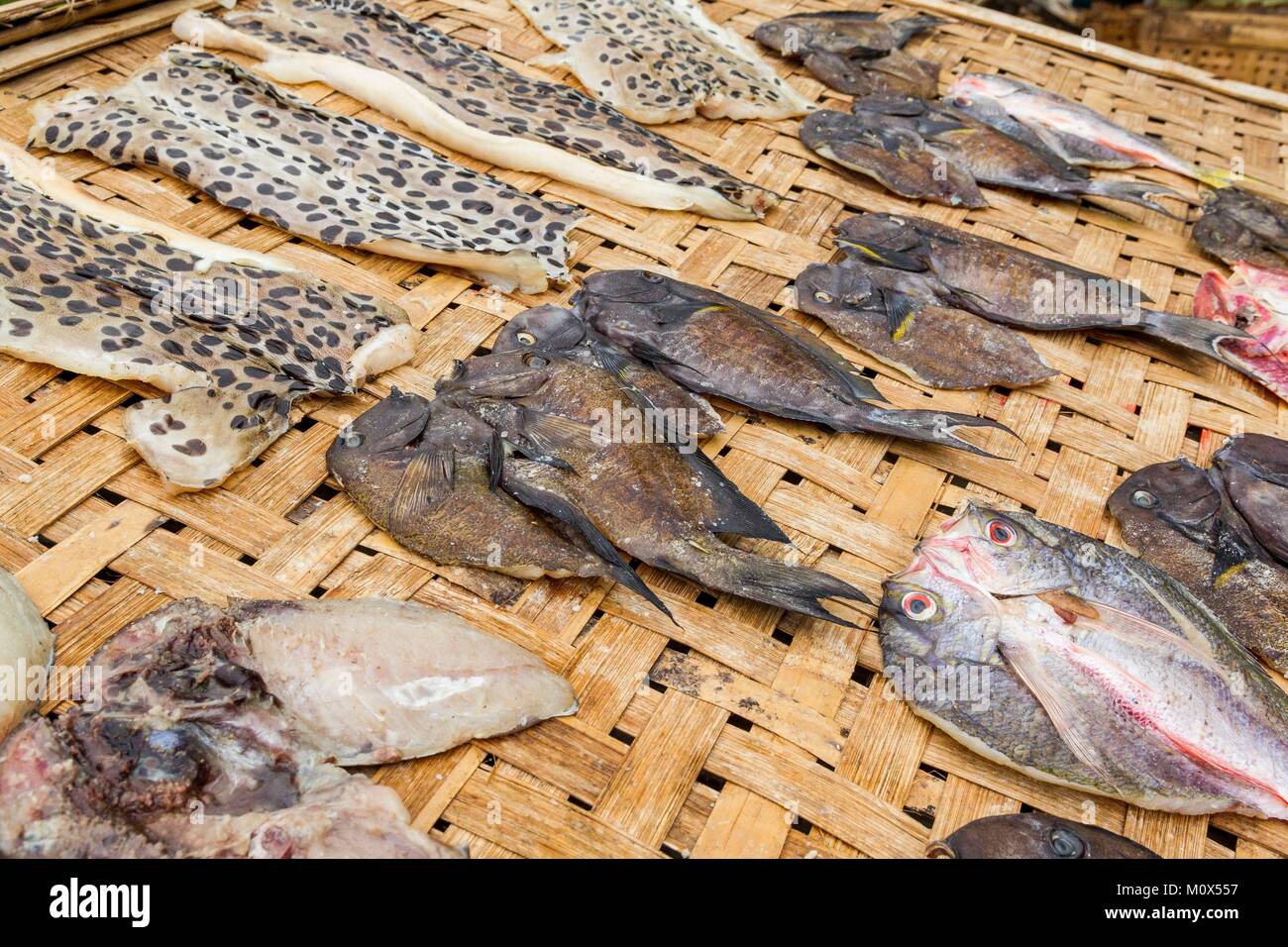 Philippines,Palawan,Roxas,Green Island,fishes drying Stock Photo - Alamy