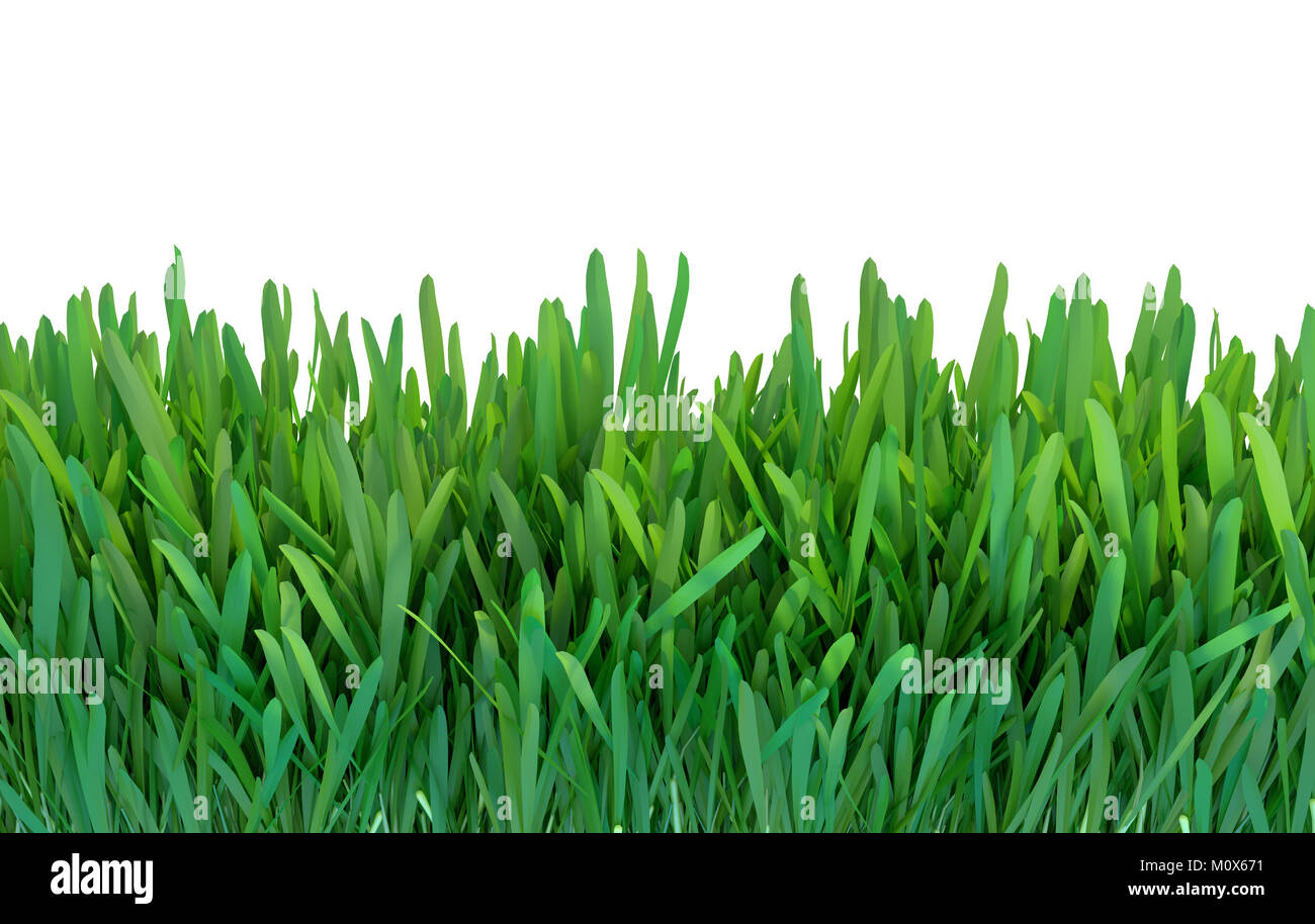 Green grass. Natural grass texture pattern background. Meadow. Spring ...