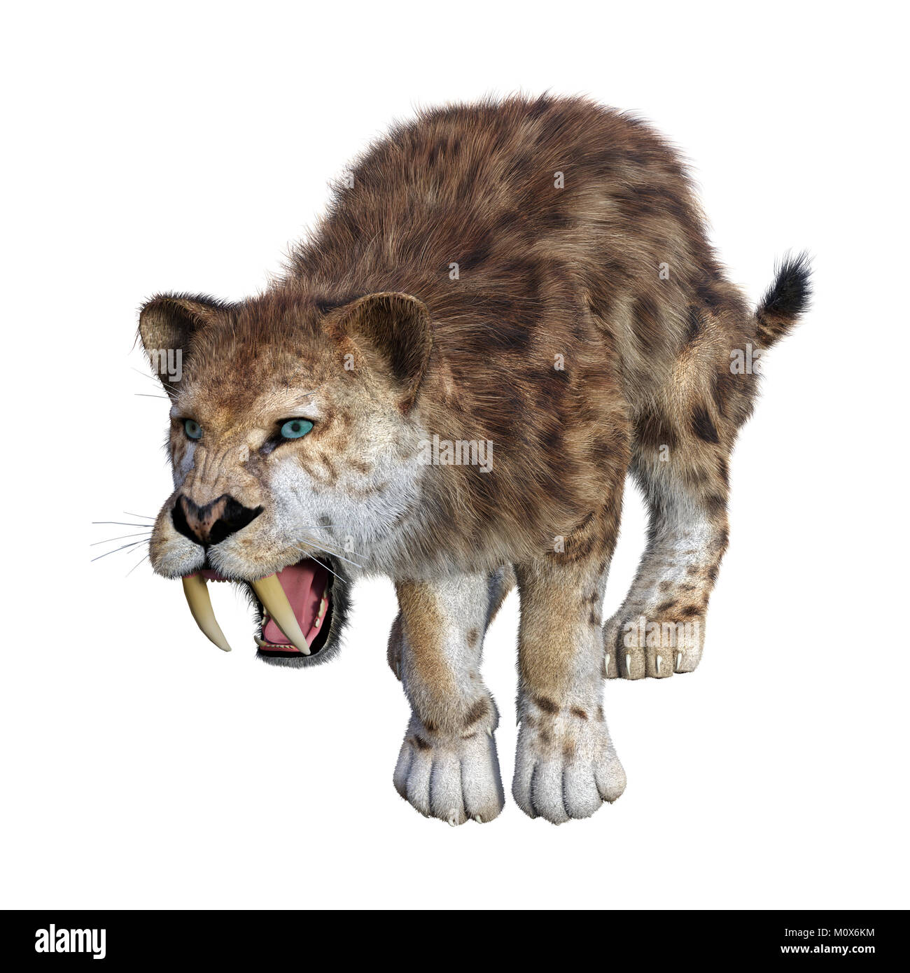 3D rendering of a sabertooth tiger isolated on white background Stock ...