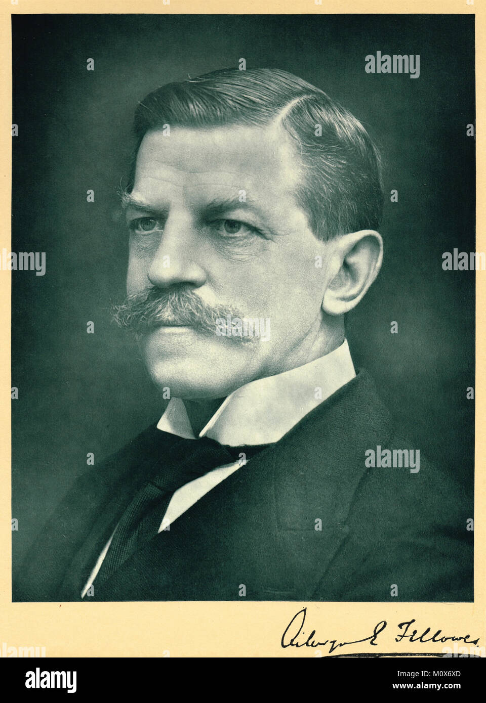 Ailwyn Edward Fellowes, 1st Baron Ailwyn Stock Photo - Alamy