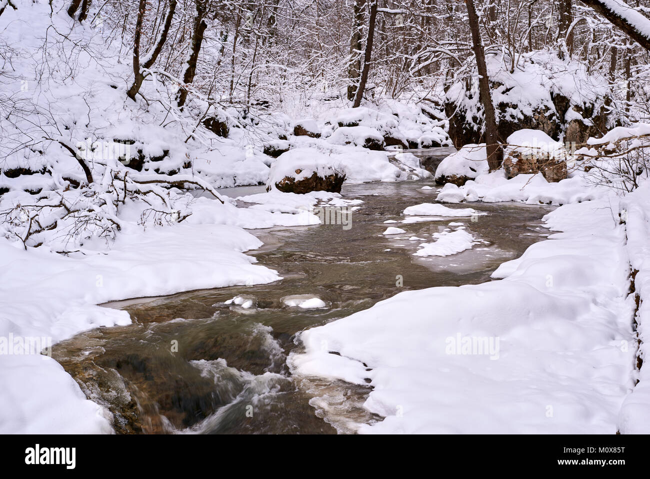 Winter Mountain Stream