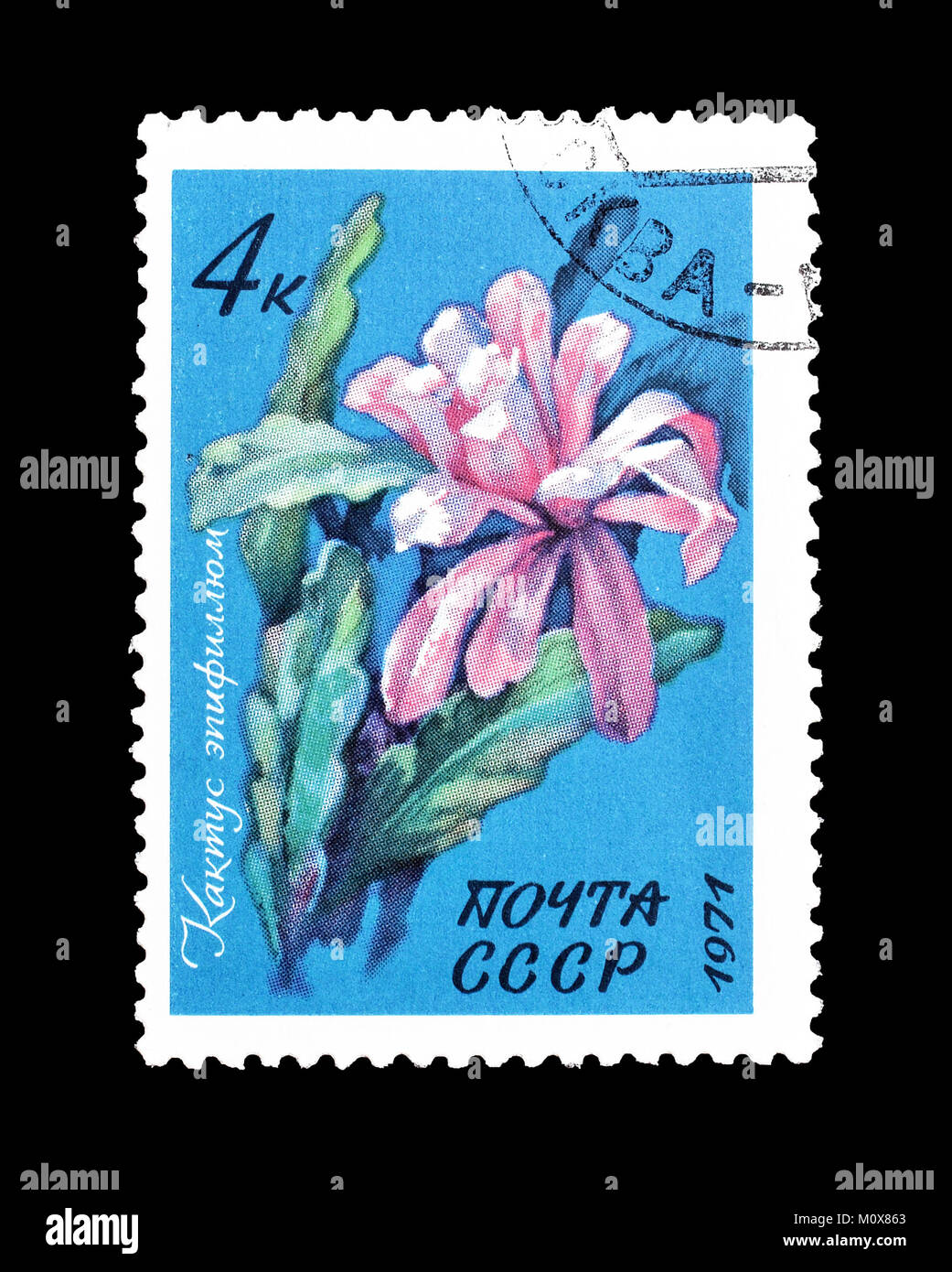 Cancelled postage stamp printed by Soviet Union, that shows Cactus ...