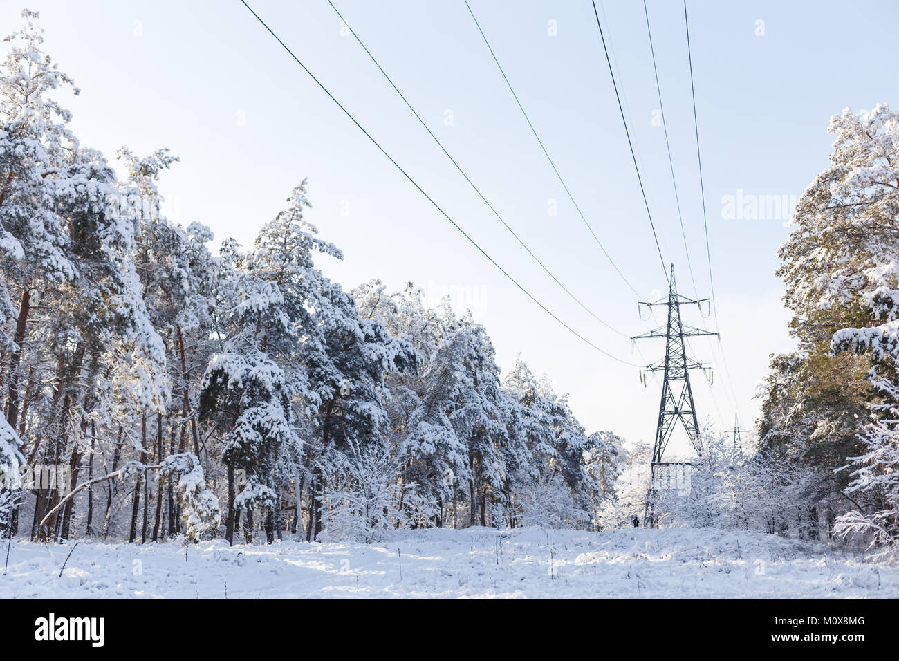 Powerline cables hi-res stock photography and images - Alamy