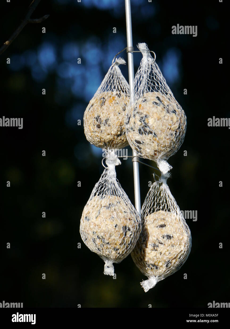food for birds hanging on a tree Stock Photo - Alamy