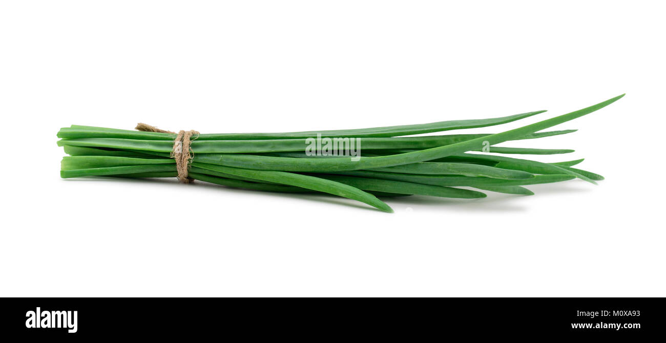 Green onion isolated on white background Stock Photo - Alamy