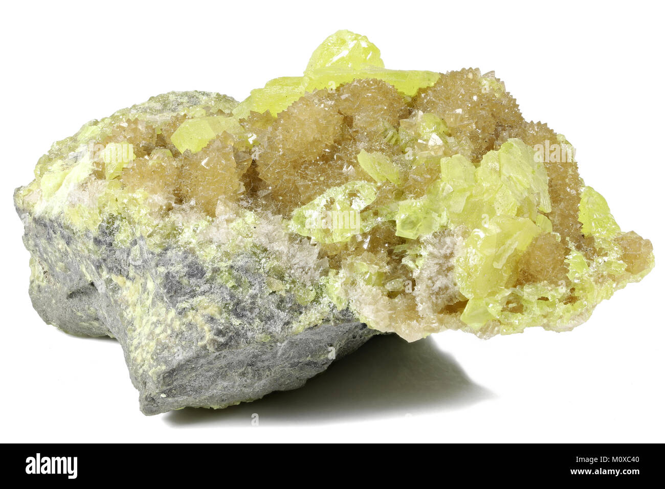 Native sulphur Cut Out Stock Images & Pictures - Alamy