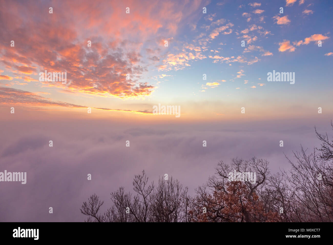 Aerial shot fog over forest hi-res stock photography and images - Alamy