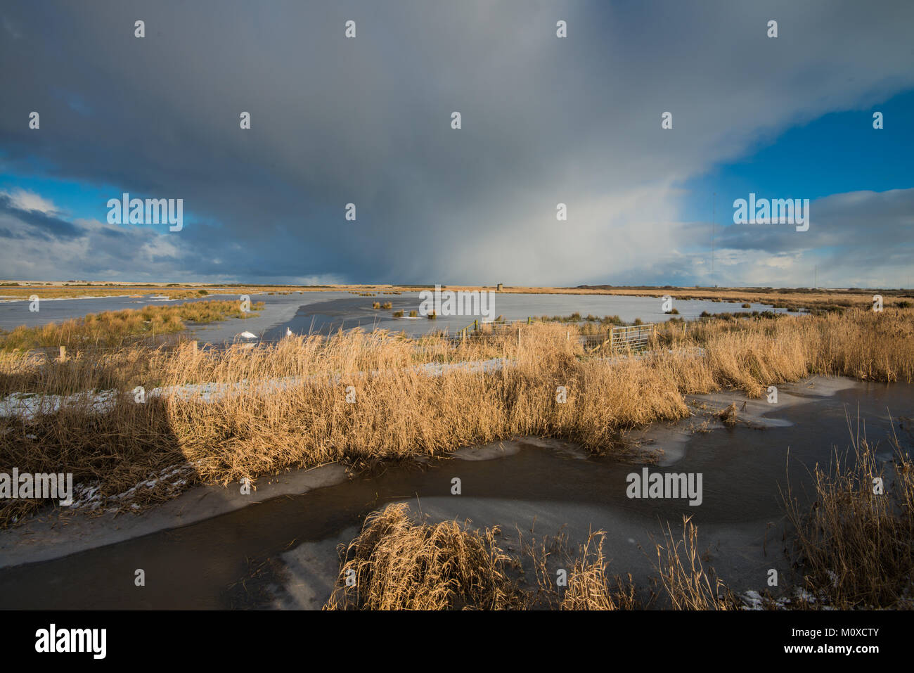 Loch of Strathbeg RSPB Reserve from Dunbar Hide Stock Photo - Alamy