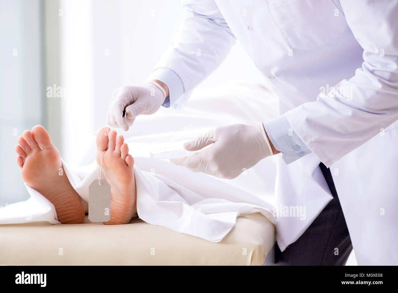 Police coroner examining dead body corpse in morgue Stock Photo - Alamy