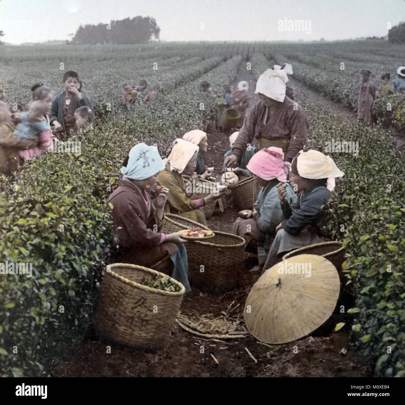 Tea break vintage hi-res stock photography and images - Alamy