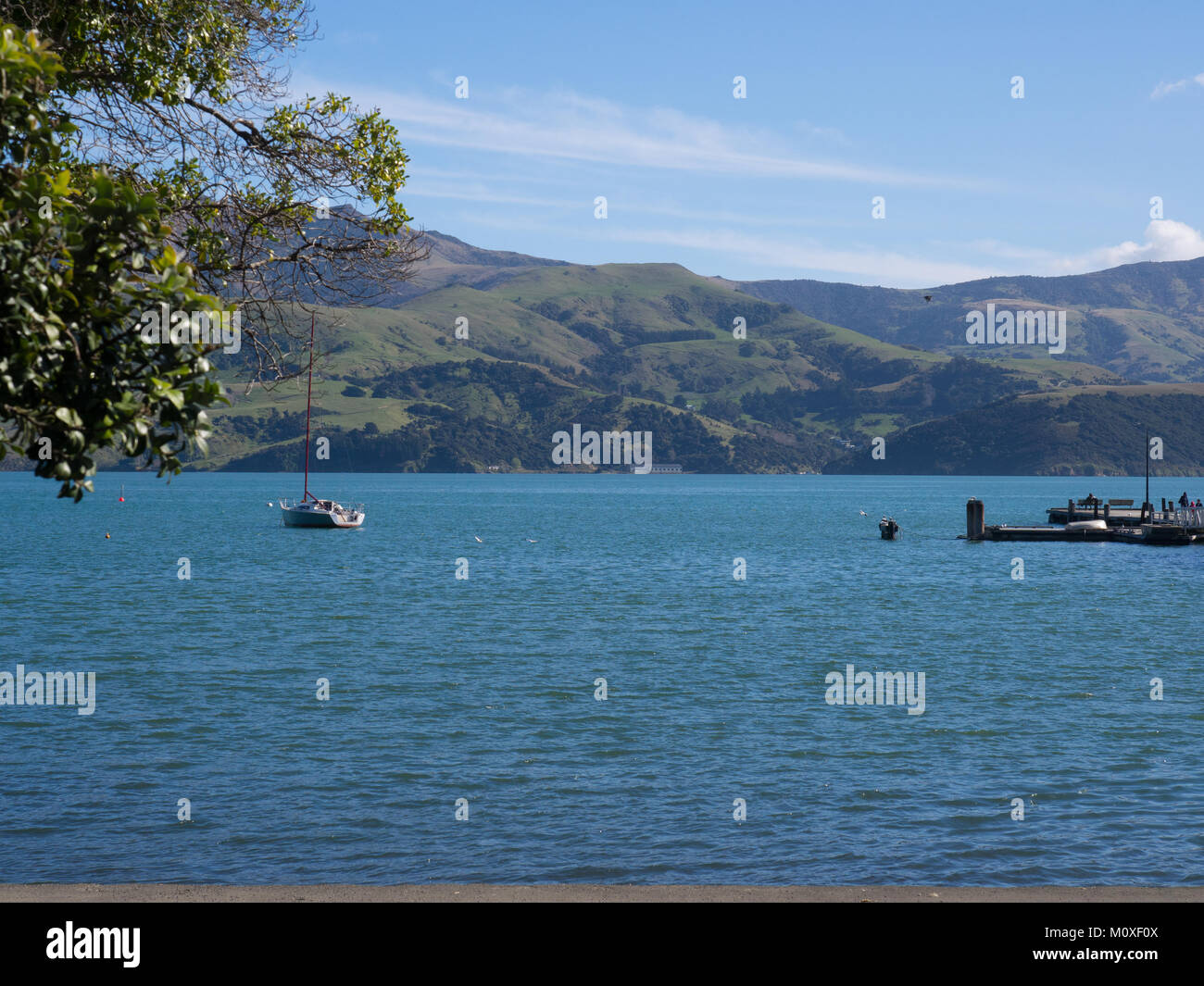 Akaroa landscape hi-res stock photography and images - Alamy